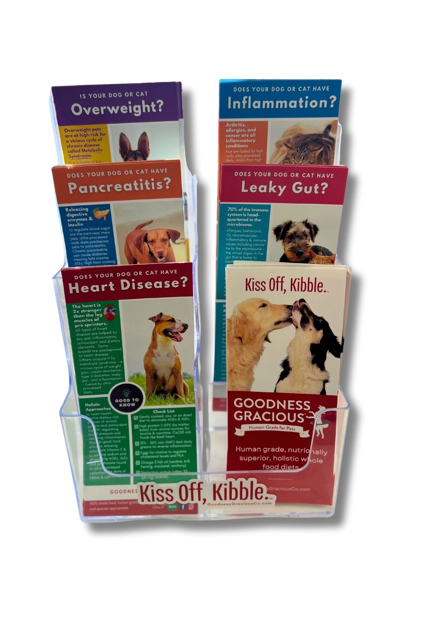 Goodness Gracious Infographics – Wholesale - Goodness Gracious